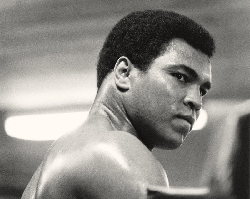 Just arrived: A key autograph at a great price