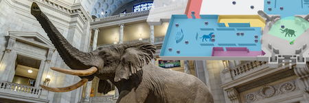 10 online experiences collectors will love