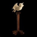 Japanese ivory parrot okimono to make $15,000?